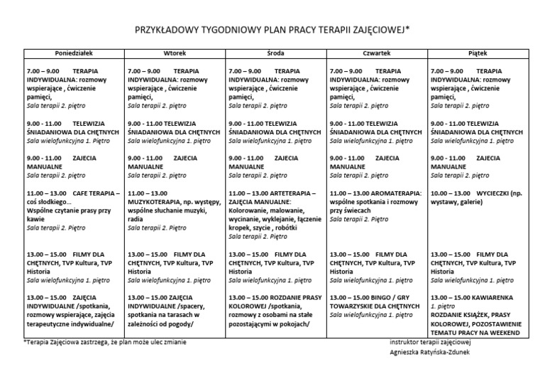 Plan Pracy Terapii Zajeciowej | PDF