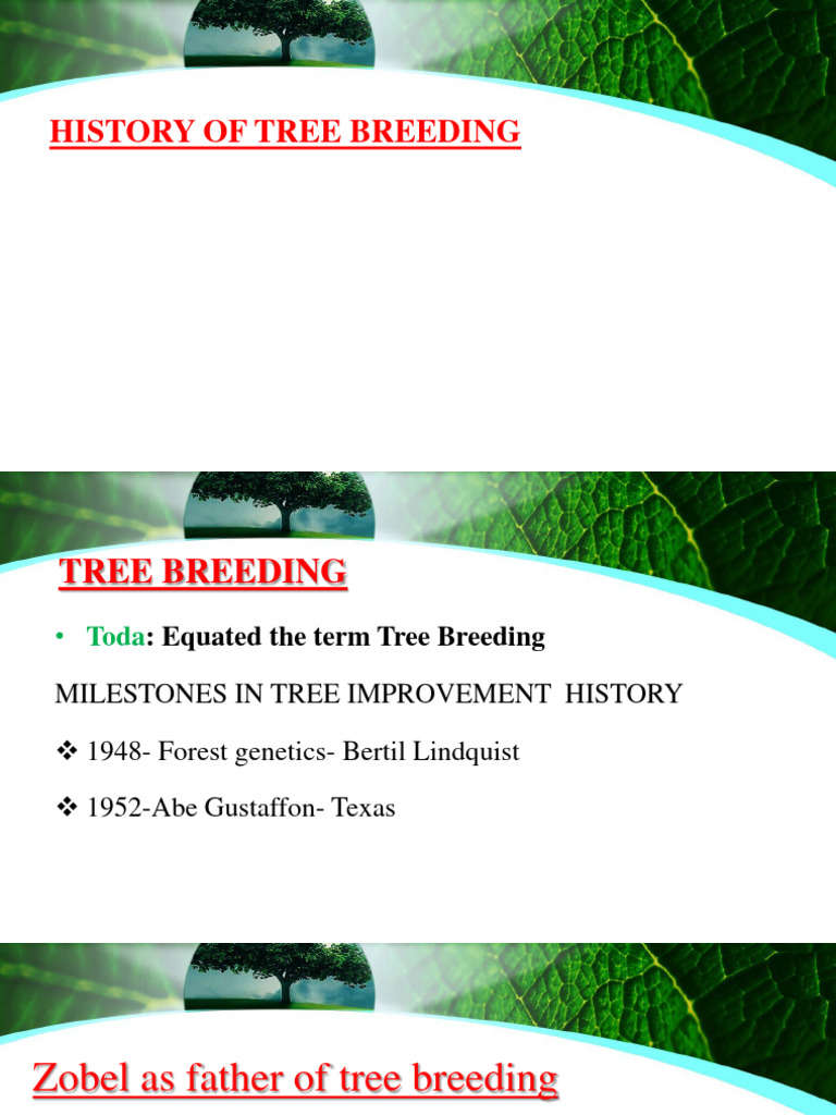 History of Tree Breeding | PDF | Plant Breeding | Trees