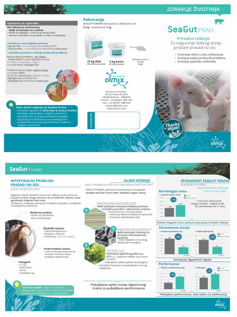 SeaGut Prah Letak | PDF