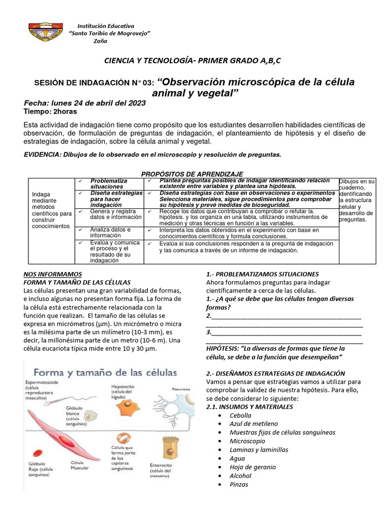 SESION-03-OBSERVACION-MICROSCOPICA-DE-LA-CELULA-ANIMAL-Y-VEGETAL | PDF ... SESION-03-OBSERVACION-MICROSCOPICA-DE-LA-CELULA-ANIMAL-Y-VEGETAL | PDF ...