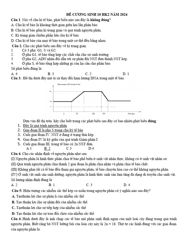 Đề Cương Sinh 10 Hk2 2024 | PDF