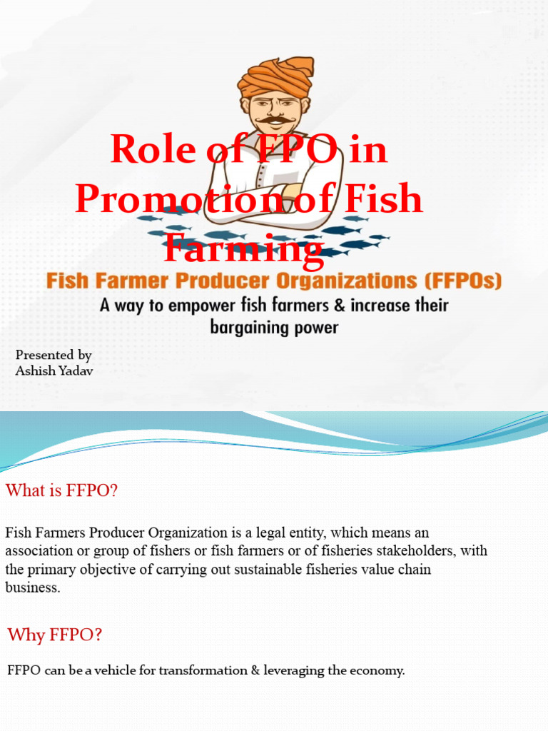 FPO Presentation | PDF | Loans | Banks