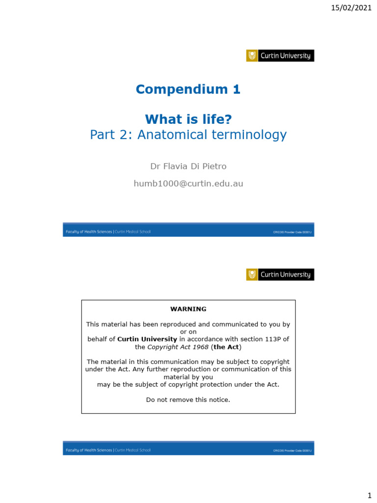 Comp1.2 - Anatomical Terminology - FDP | PDF | Anatomical Terms Of Location | Abdomen