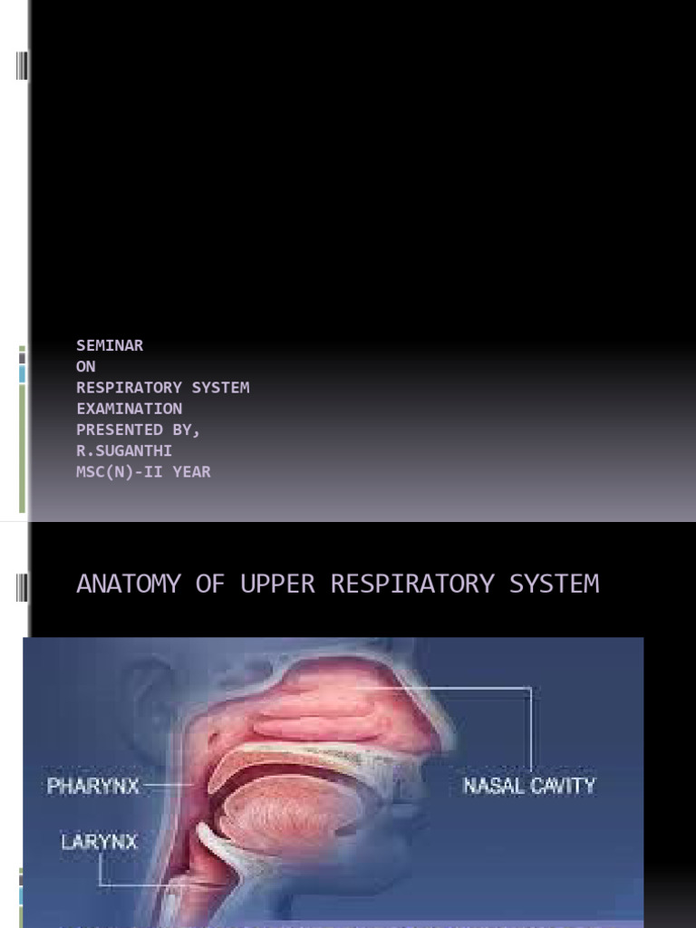 Respiratory Examination Pdf Respiratory System Respiratory Tract