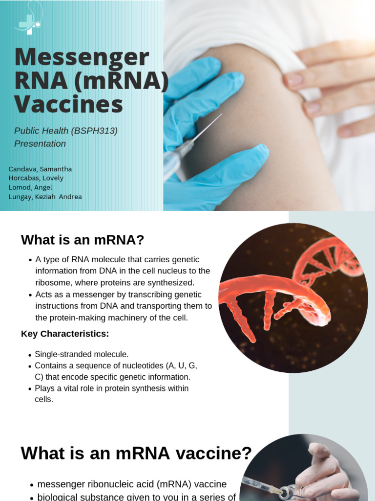 Mrna | Download Free PDF | Messenger Rna | Cell (Biology)