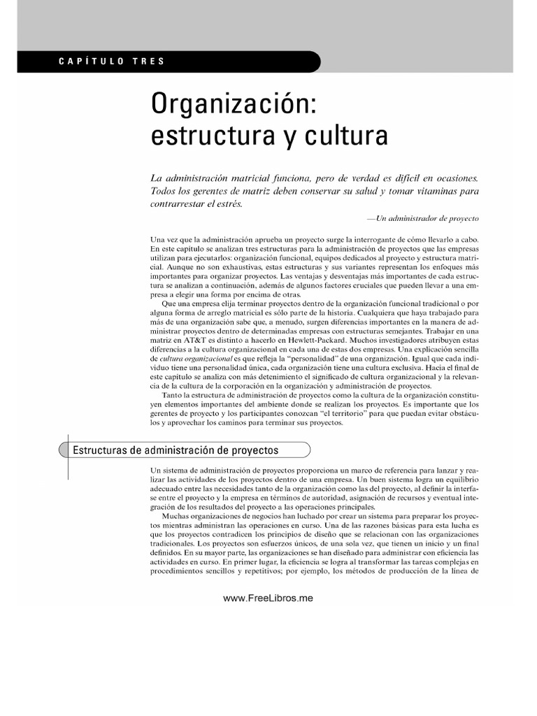 CAP 3 - Administracion-De-Proyectos-4edi-Gray | PDF