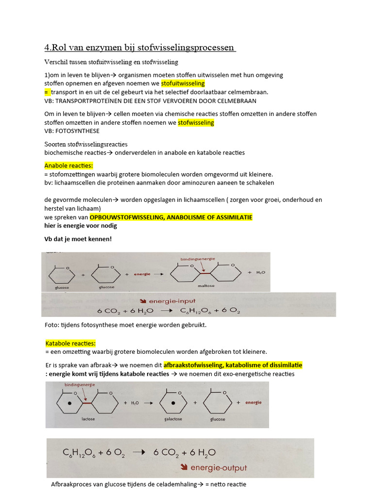 4 Enzymen | PDF