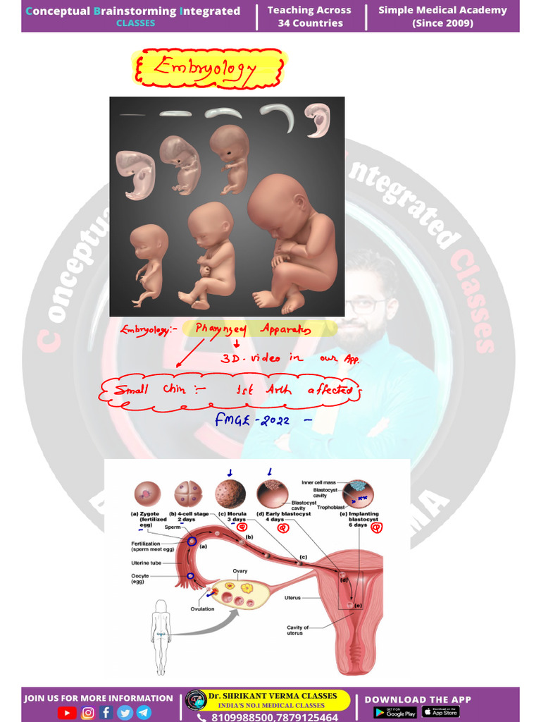 Embryology | PDF | Developmental Biology | Anatomy