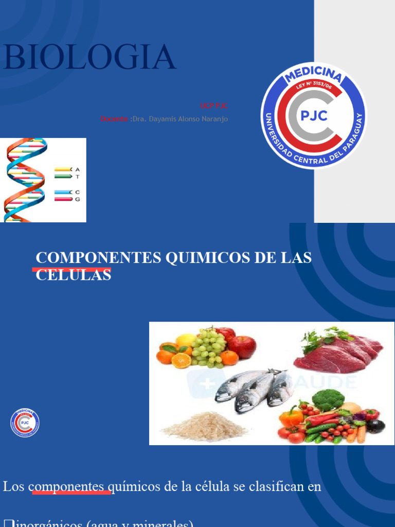 2.0 Componentes Quimicos | PDF 2.0 Componentes Quimicos | PDF
