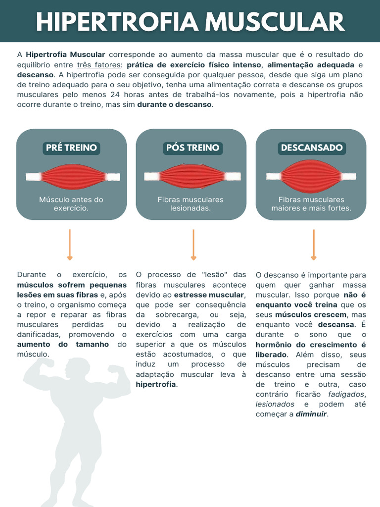 Hipertrofia Muscular | PDF