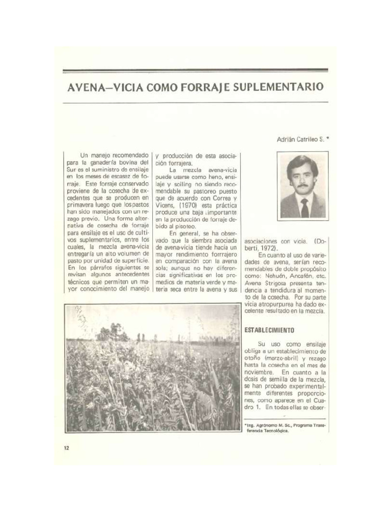 Avena Vicia | PDF | Pasto | Forraje