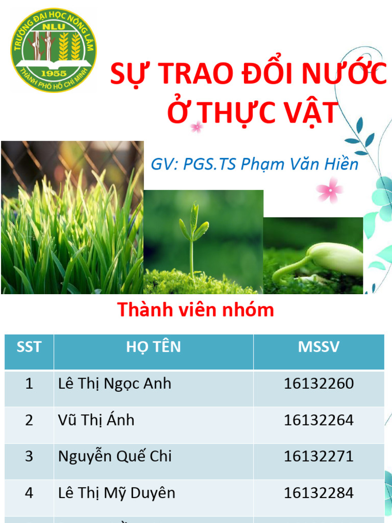 Trao Doi Nuoc | PDF