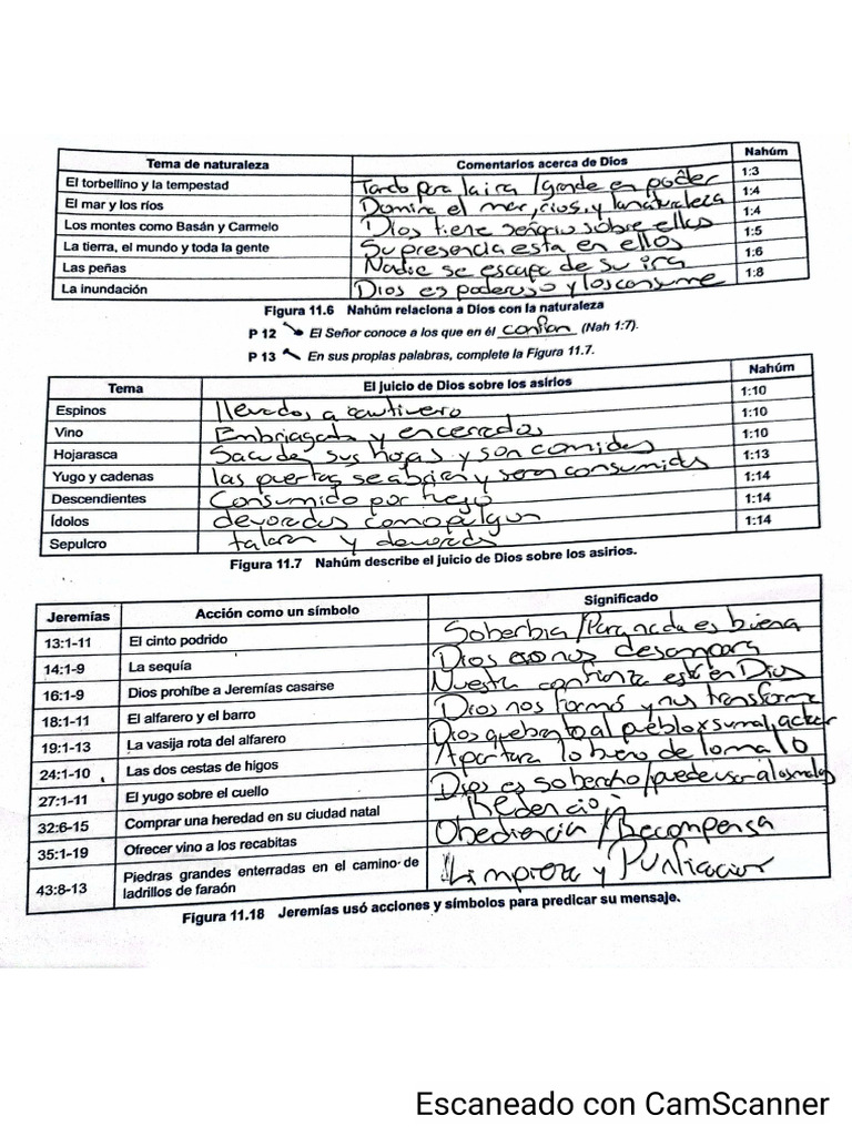 Tarea Cap 11 Y12 Panorama at | PDF