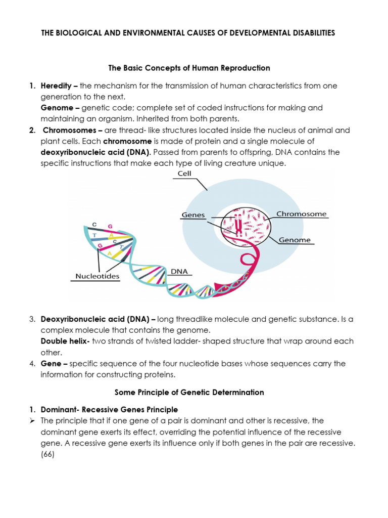 The Biological and Environmental Causes of Developmental Disabilities - Project | PDF | Gene ...