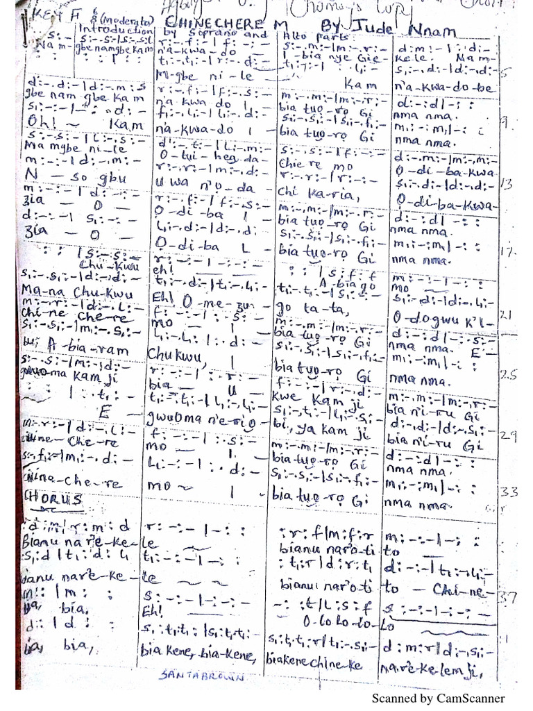 Chinecherem Jude Nnam | PDF