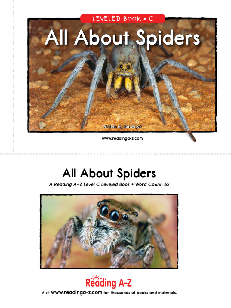 Fun Facts About Spiders | PDF | Linguistics