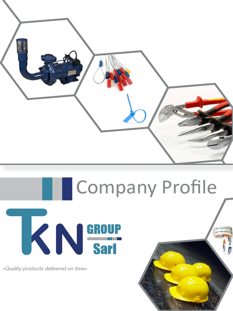 Profil de TKN Group Review-Compressed | PDF | Economies | Business