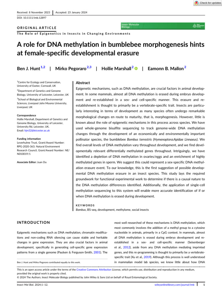 Insect Molecular Biology - 2024 - Hunt - A Role For DNA Methylation in ...