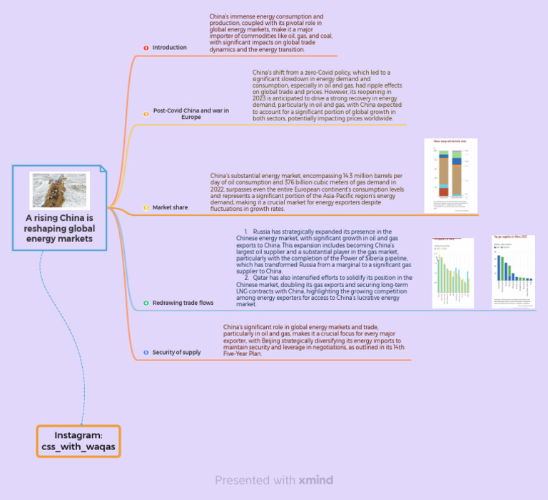 MT7 A Rising China Is Re | PDF | Natural Gas | China