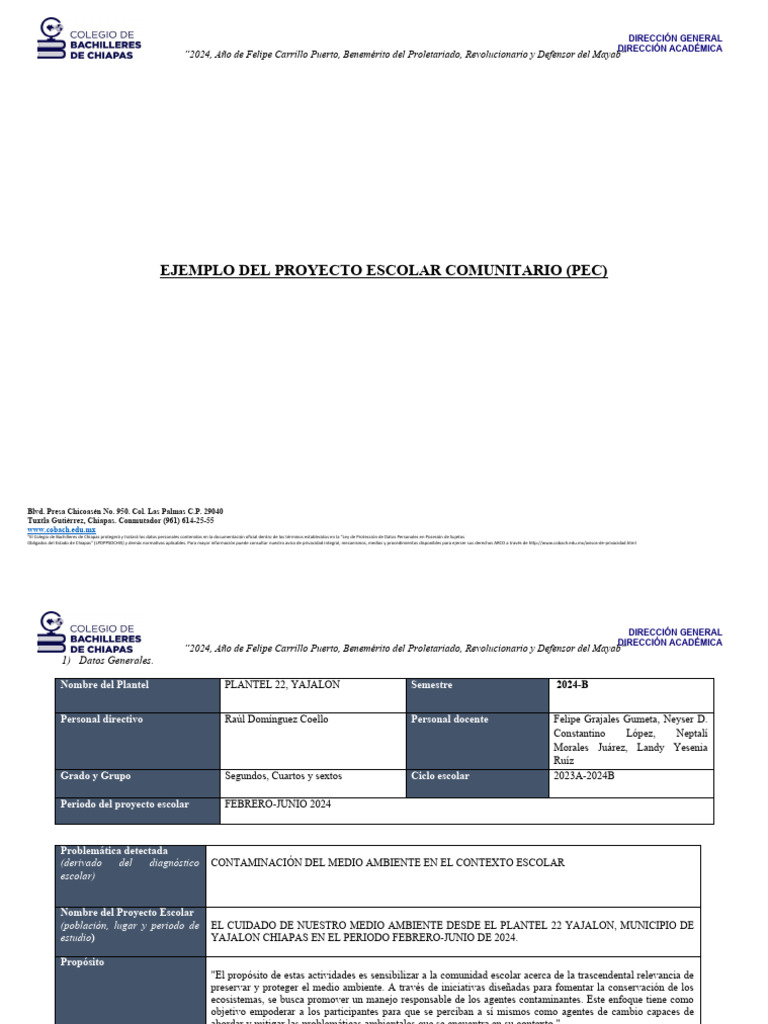 Ejemplo Proyecto Escolar Comunitario (PEC) | PDF | Entorno natural | Residuos