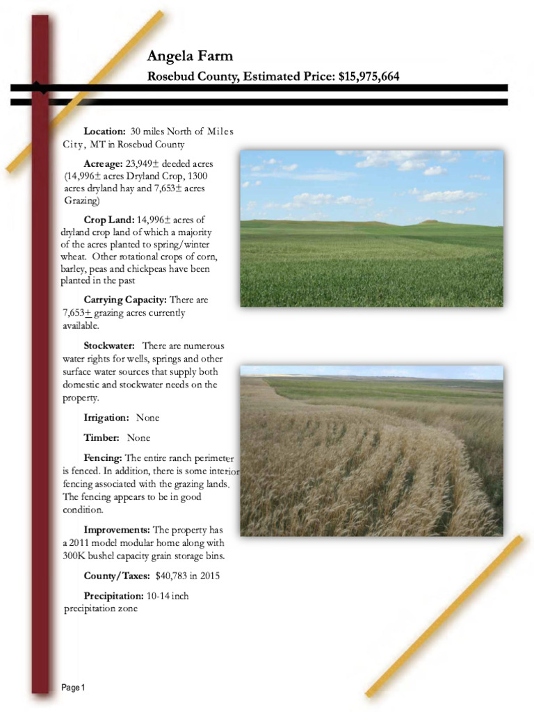 Angela Farms Flyer | PDF