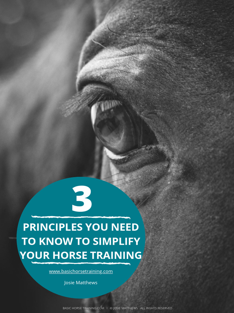 Simplifying Basic Horse Training | PDF | Horses | Equestrianism