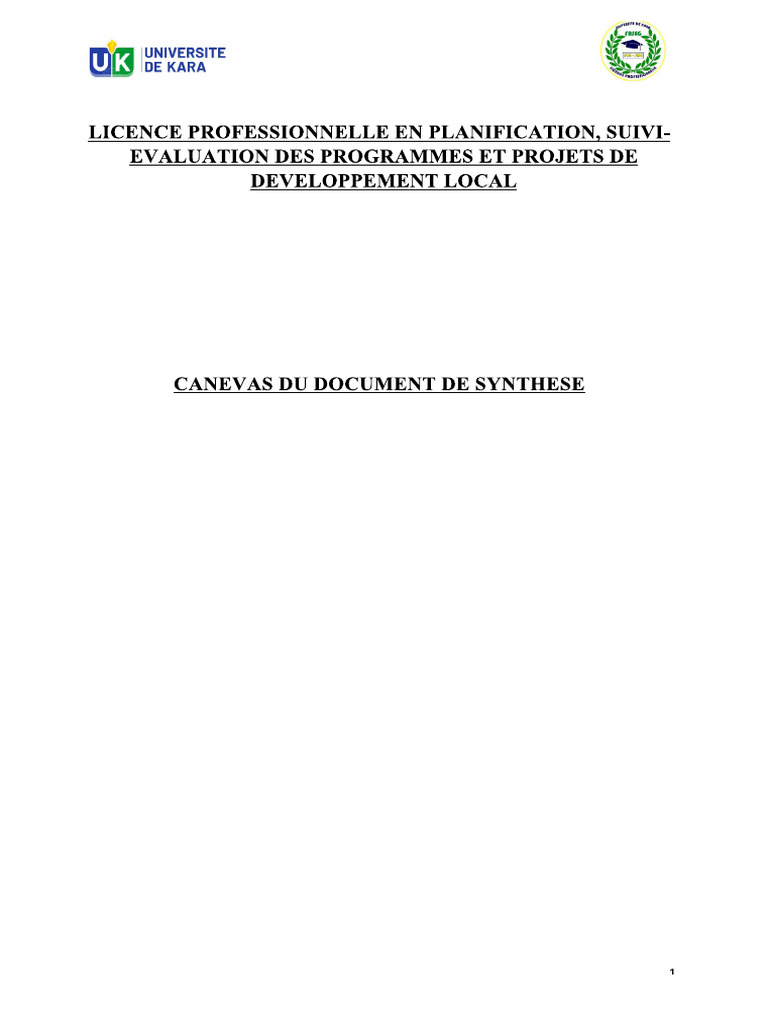 Canevas Document de Synthese 01 | PDF