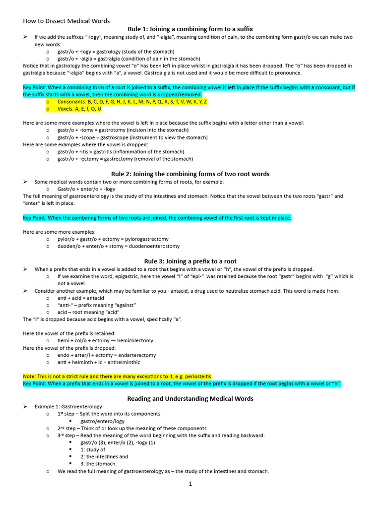 How to Dissect Medical Words | PDF | Gastroenterology | Vowel
