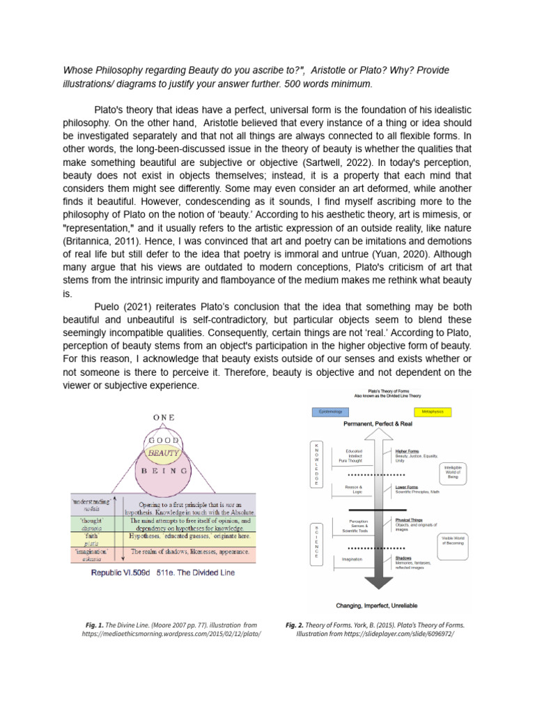 Philosophy Students Debate Beauty | PDF | Beauty | Idea