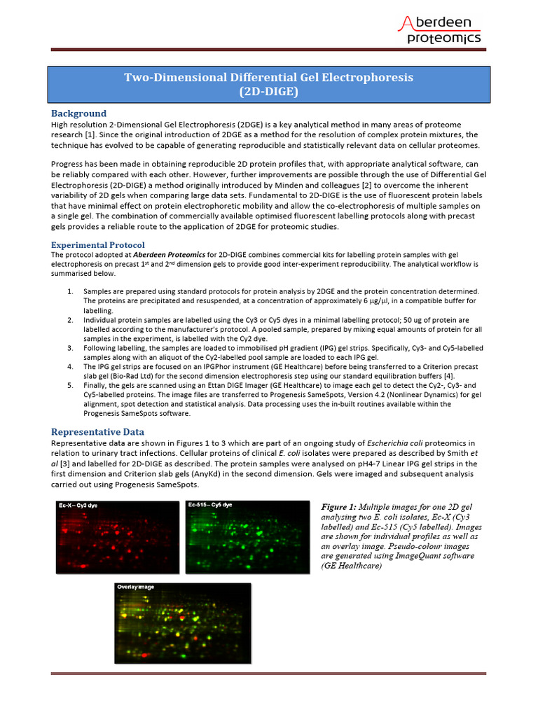 2D-DIGE Protocol for Proteomic Analysis | PDF | Gel Electrophoresis ...
