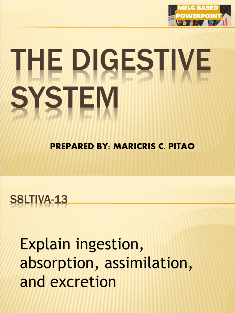 G8 Science Q4 Week 1 Digestive System | PDF | Digestion ...