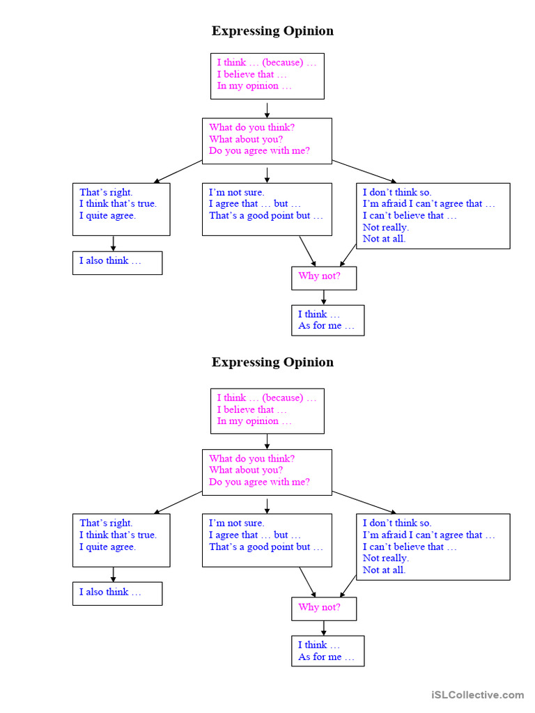 Expressing Opinion | PDF