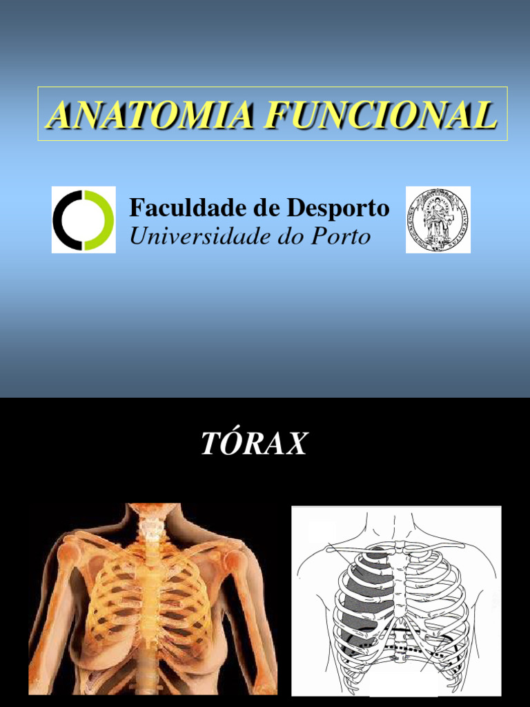 OSTEOLOGIA-Torax e Cabeca | PDF | Crânio | Sistema Locomotor