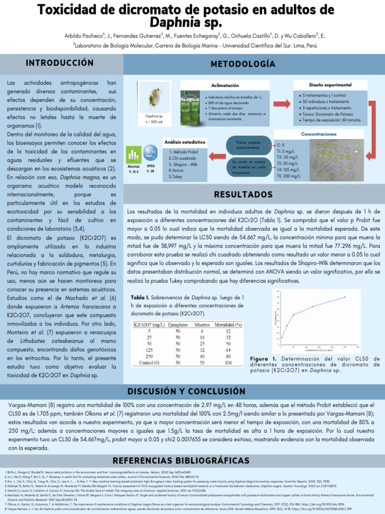 Ejemplo de Poster 2 | PDF