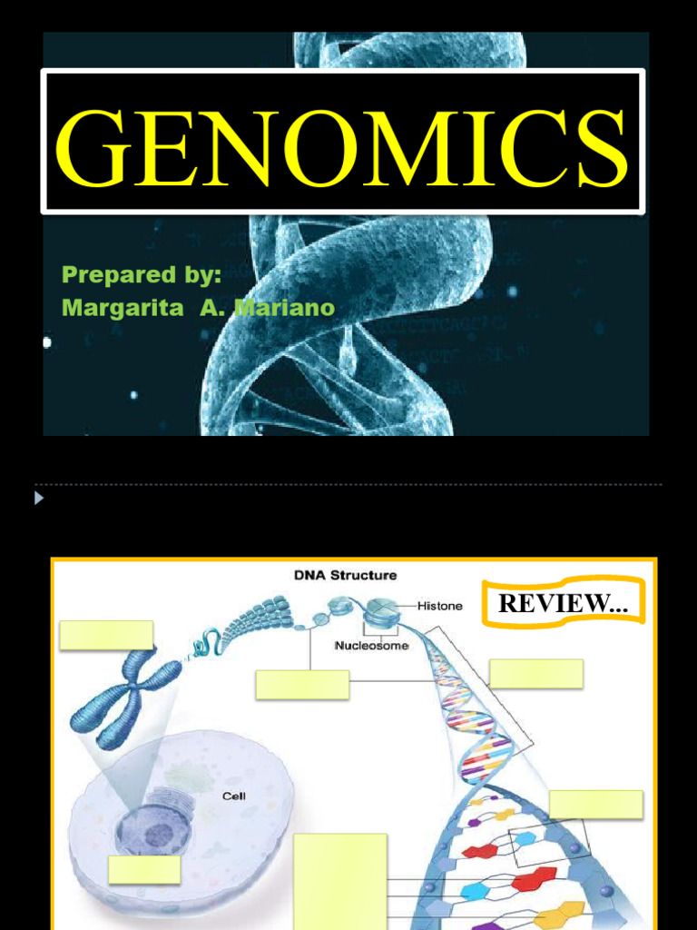 Genomics Final | Download Free PDF | Genomics | Genome