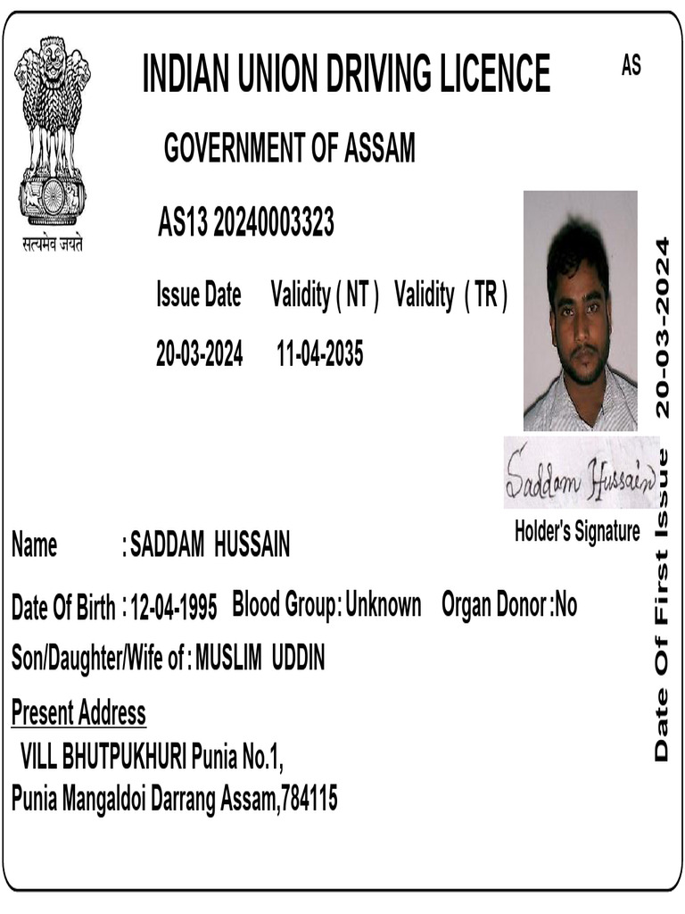 Saddam Hussain Licence | PDF