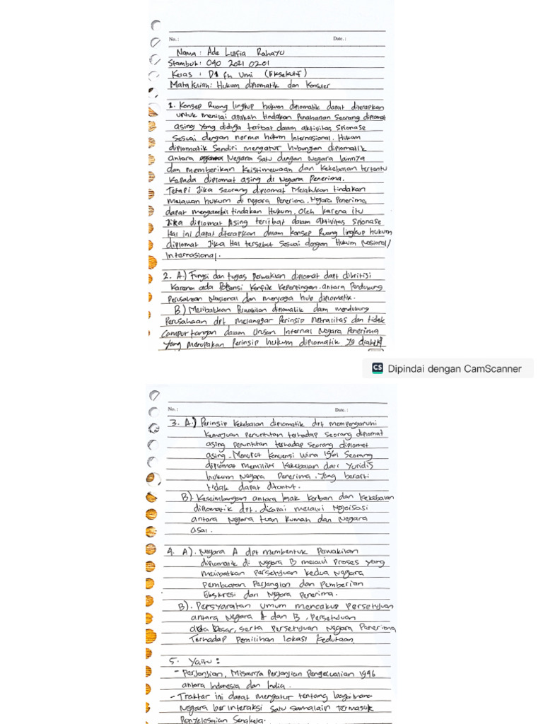 Ade Lutfia Rahayu Diplomat | PDF