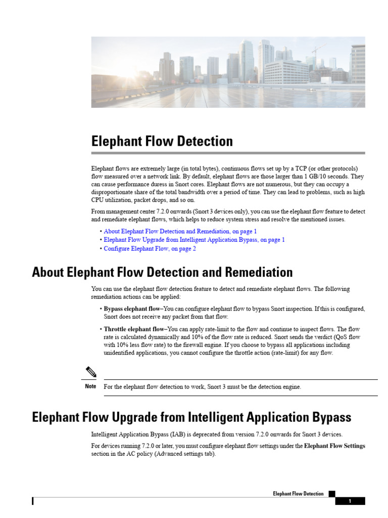 Elephant Flow | Download Free PDF | Firewall (Computing) | Computing