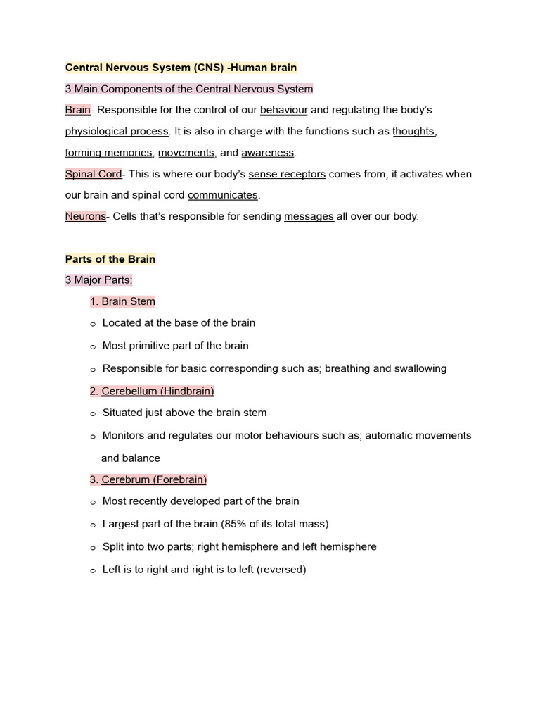 Uts Reviewer | PDF | Emotions | Brain