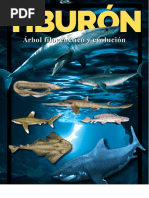 Anatomía y Fisiología de Los Peces Teleósteos | PDF | Vena | Pescado