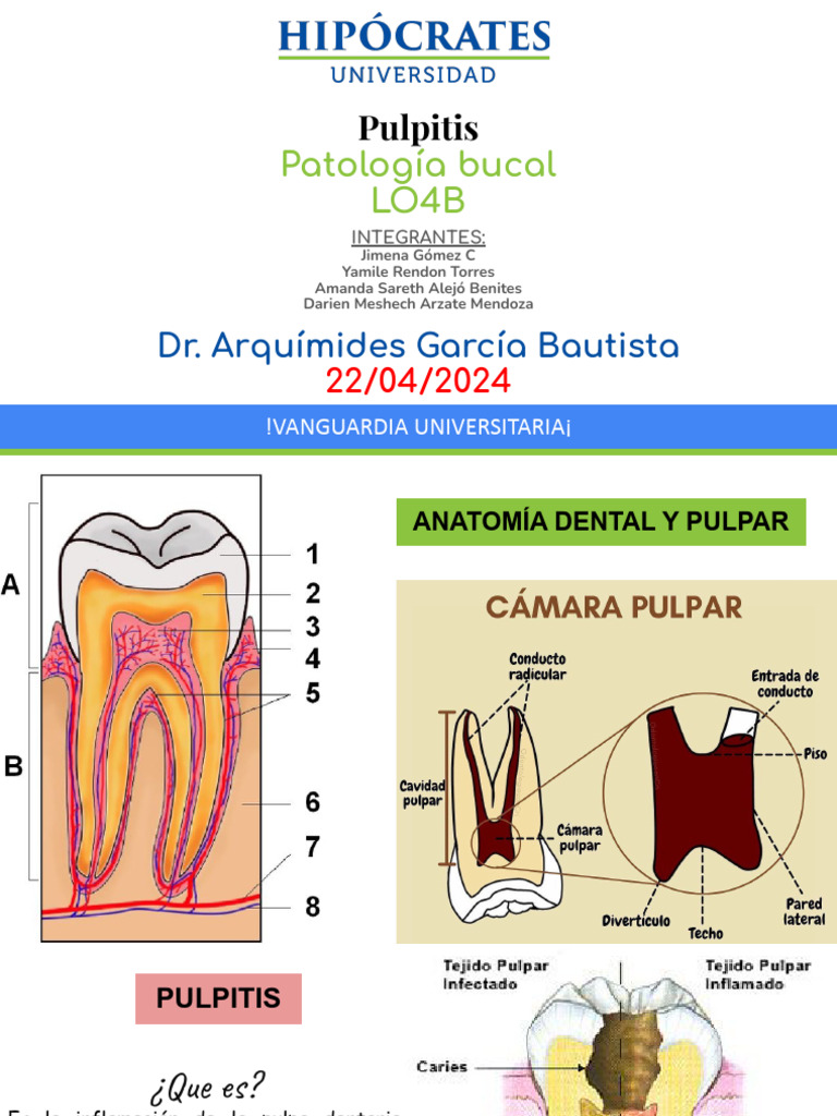Pulpitis | PDF | Boca | Ciencias de la Salud
