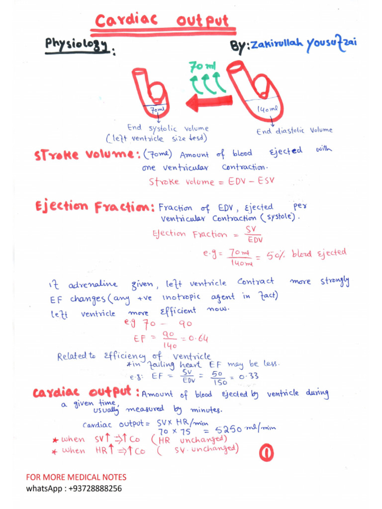 3 Cardiac Output | PDF