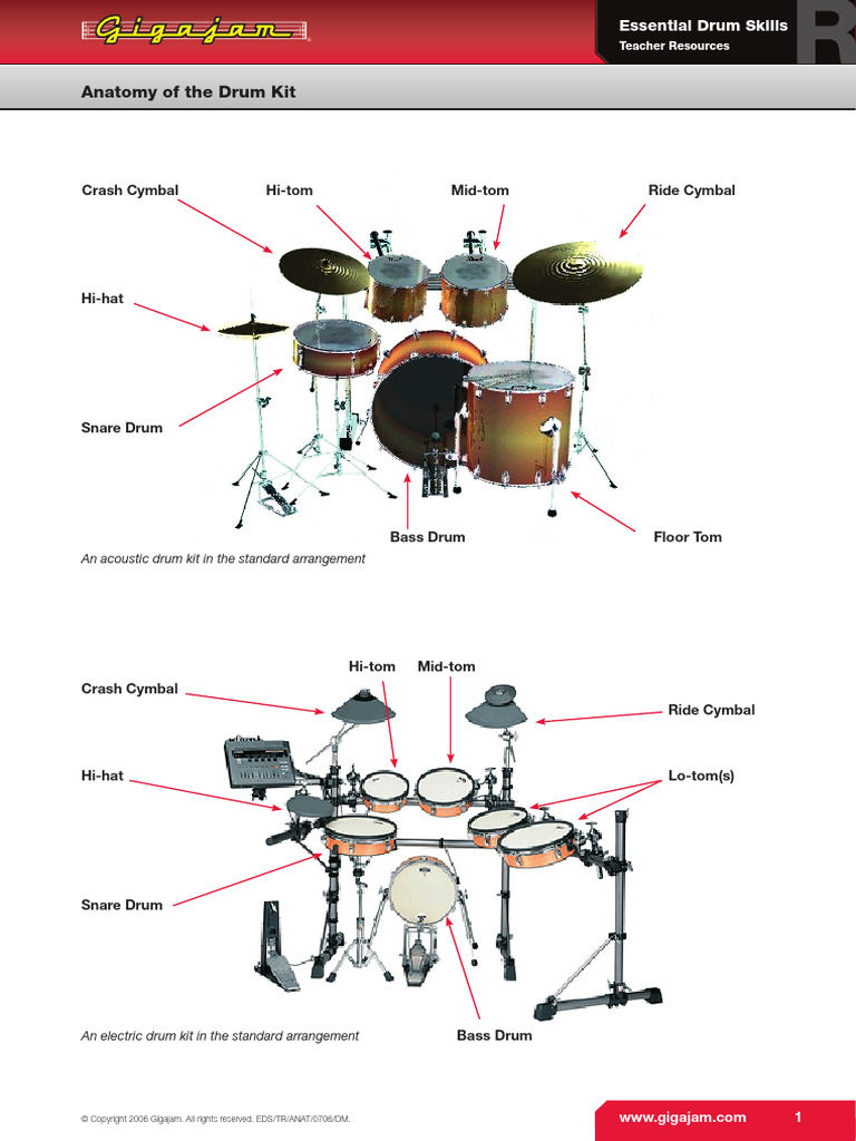 Anatomy Drum Kit | Download Free PDF | Drum Kit | Drumming