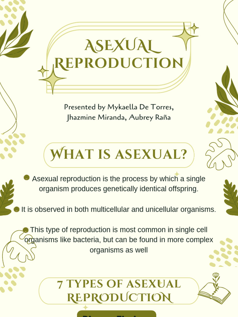 Types of Asexual Reproduction Explained | PDF | Sexual Reproduction ...