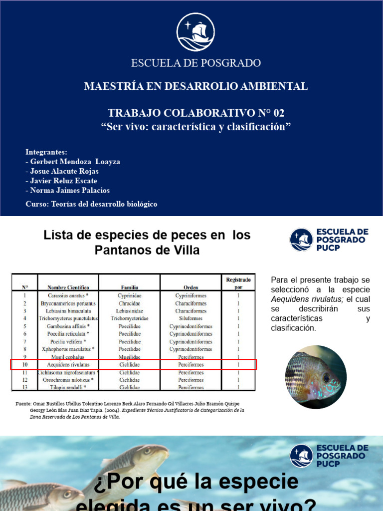 Alacute, Jaimes, Mendoza, Reluz - TC2 | PDF | Eucariotas | Organismos