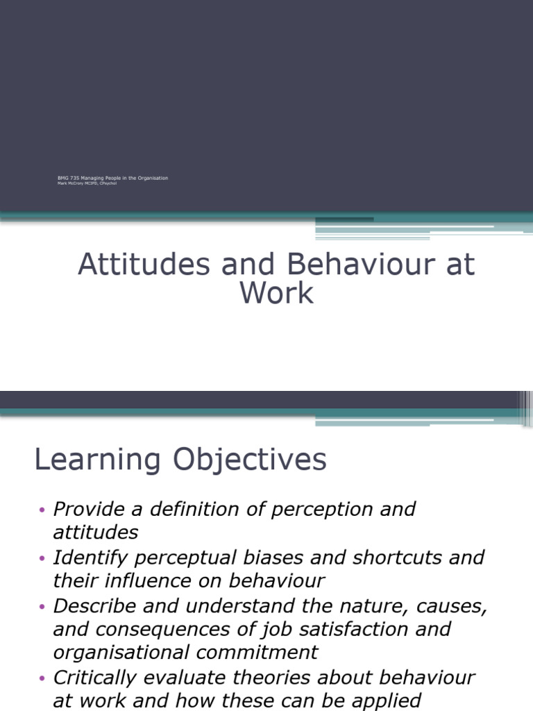 Understanding Workplace Attitudes and Behavior | PDF | Job Satisfaction ...