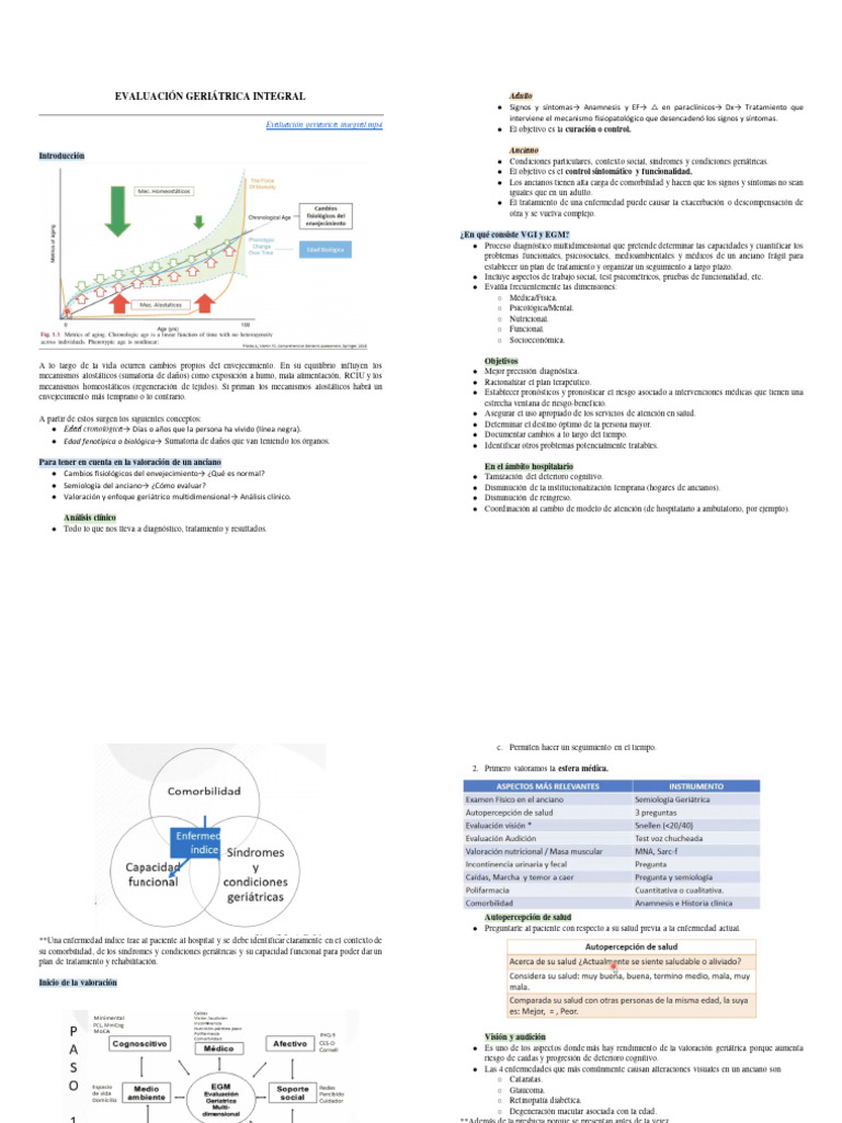 Valoración Geriátrica Integral | PDF | Vejez | Comorbilidad