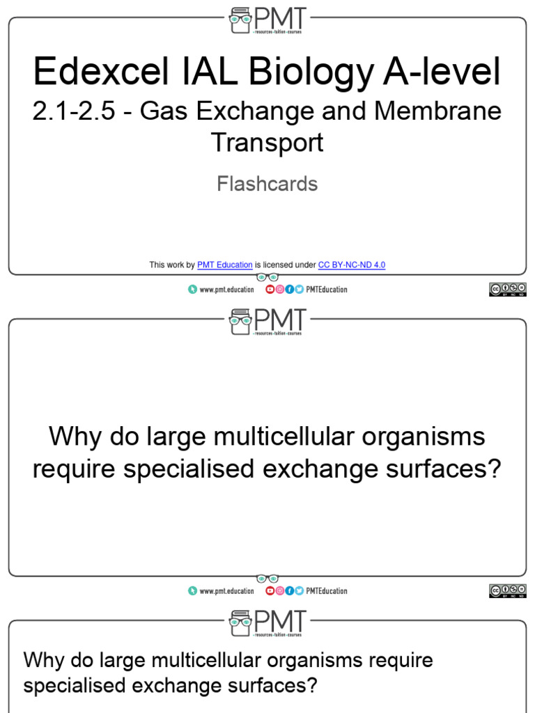 Edexcel A-Level Biology: Gas Exchange Flashcards | PDF | Cell Membrane ...