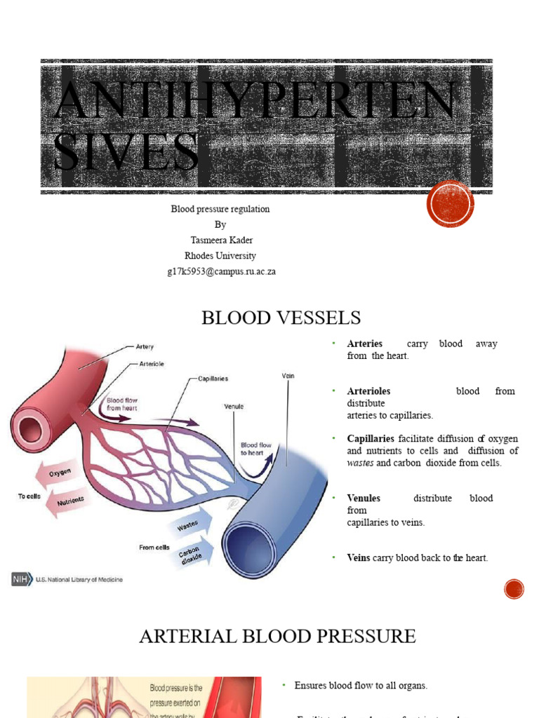 Antihypertensives Part 1 Pdf Blood Pressure Blood
