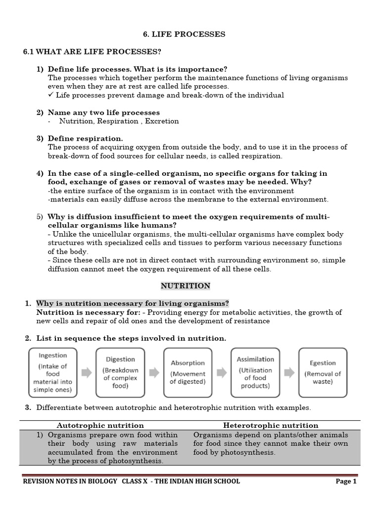 Life Processes-Nutrition QB | PDF | Digestion | Stomach